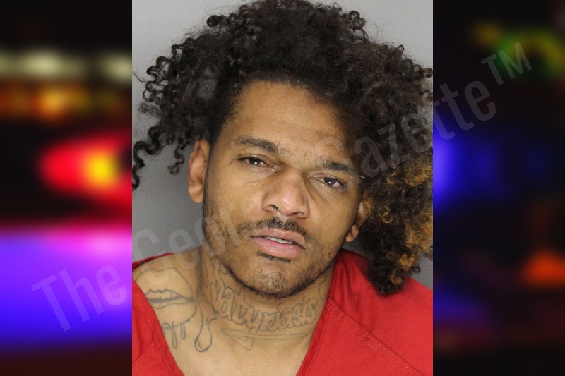 Marcus Freeman — Cobb County