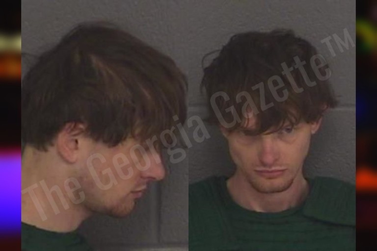 Tyler Fannin — Barrow County Jail Bookings