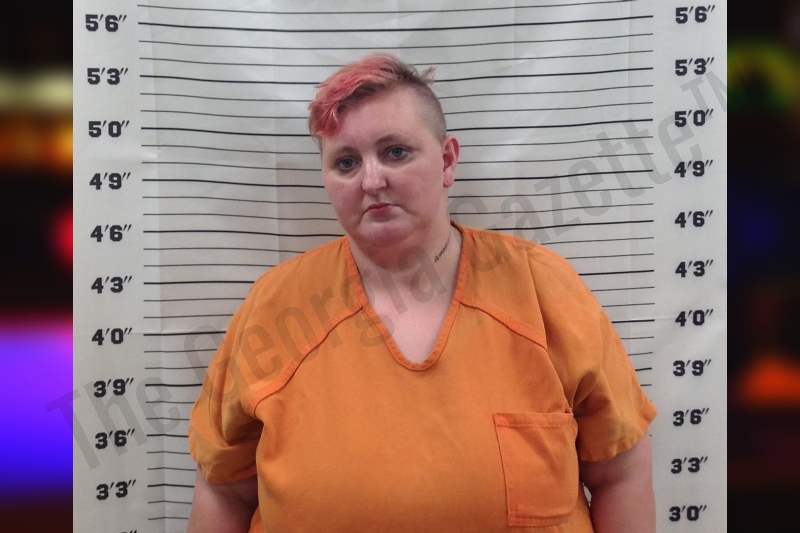 Elizabeth Fowler — Pickens County Jail Bookings