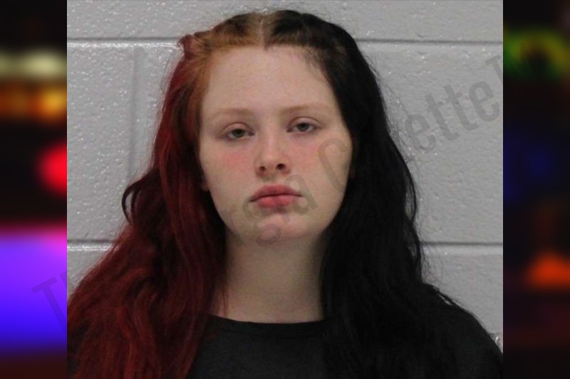 Katlin Gentry — Carroll County Jail Bookings
