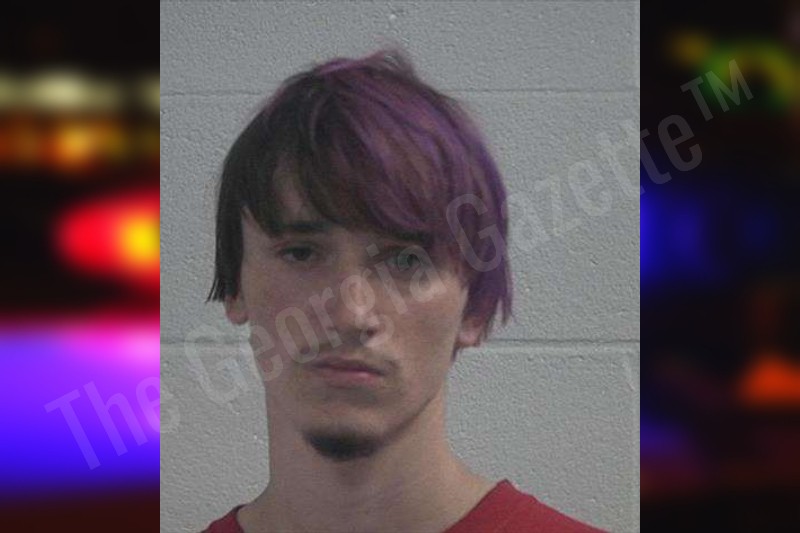 Tyler Griffith — McDuffie County Jail Bookings