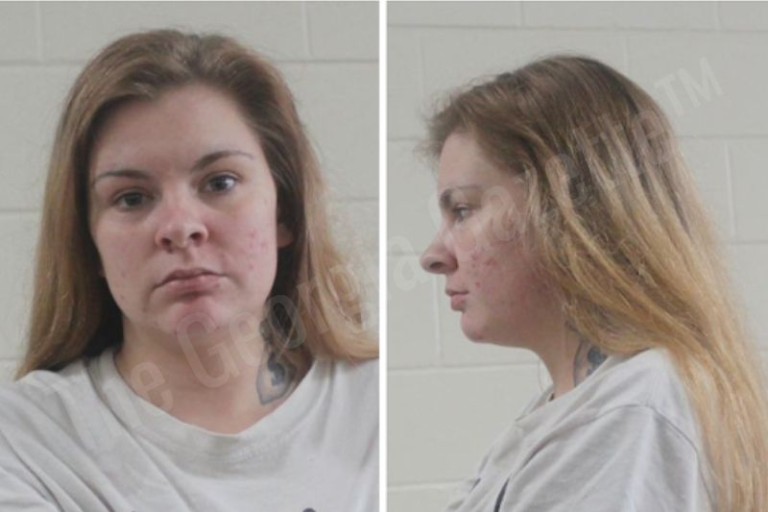 Miranda Guy — Houston County Jail Bookings