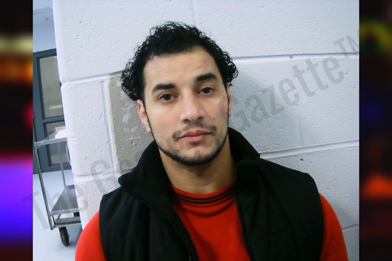 Sayed Hamed — Fulton County Jail Bookings