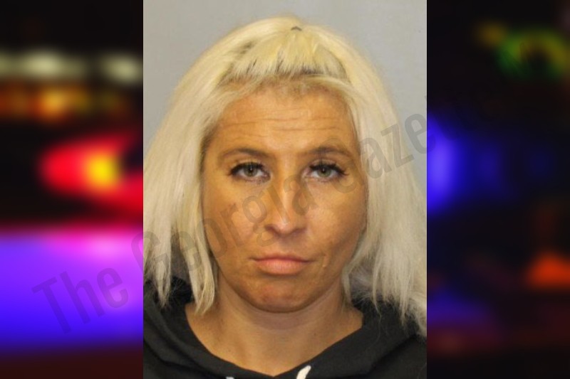 Jessica Hamilton — Hall County Jail Bookings