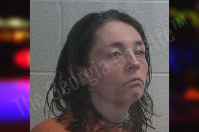 Chyenne Hawkins — McDuffie County Jail Bookings