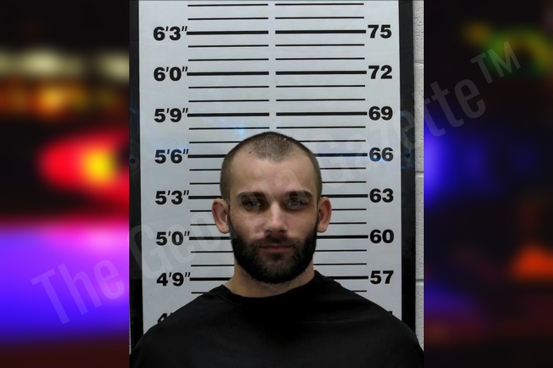 Kristopher Harlow — Hart County Jail Bookings