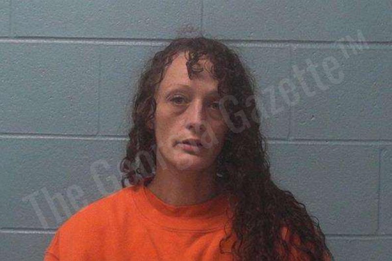 Heather Holler — Franklin County Jail Bookings