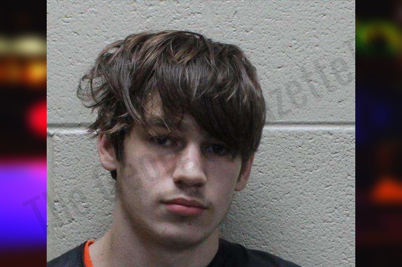 Anthony Ivey — Haralson County Jail Bookings