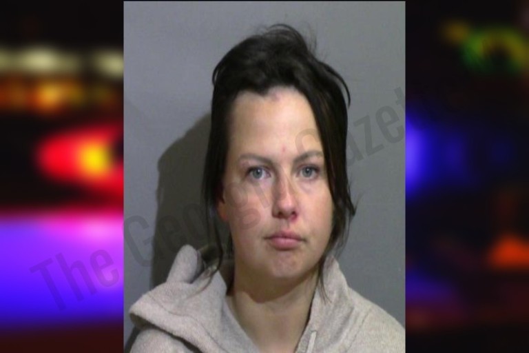 Anne Irwin — Glynn County Jail Bookings