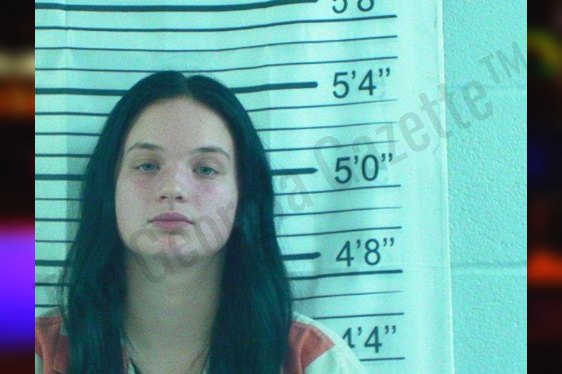 Harley Jackson — Stephens County Jail Bookings