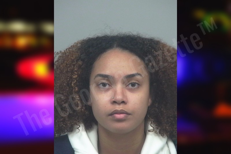 Alyssa Johnson — Gwinnett County Jail Bookings