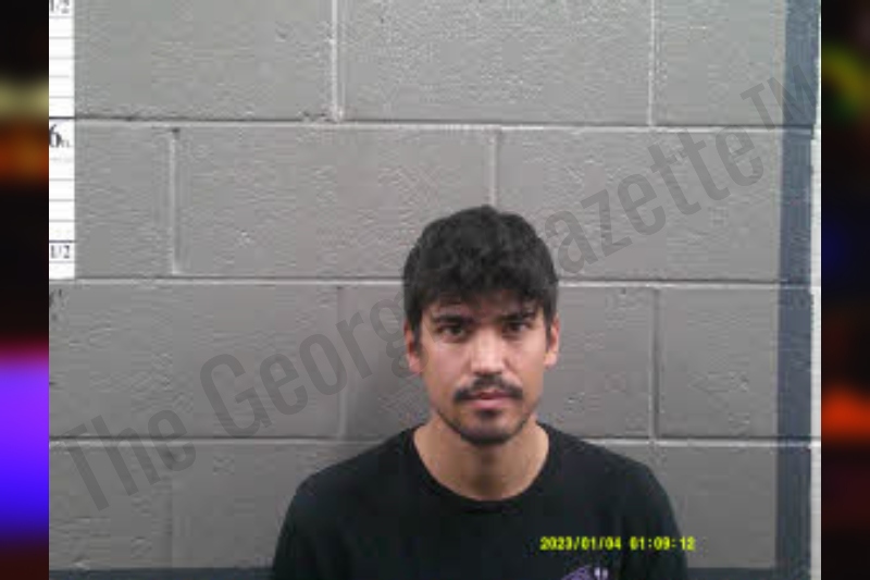 Jonathan Dellinger — Banks County Jail Bookings