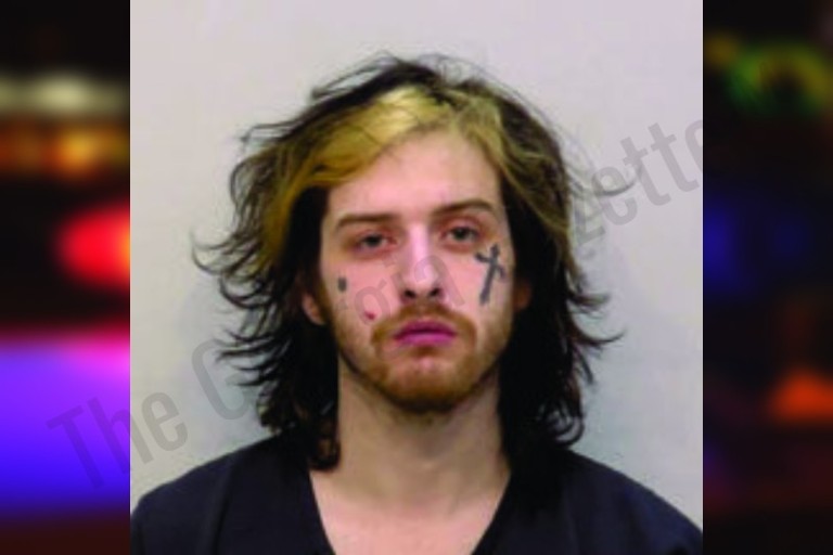 Nathaniel Jacobs — Bartow County Jail Bookings