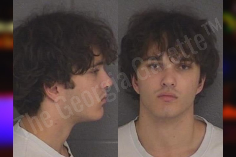 Tanner Johnston — Barrow County Jail Bookings