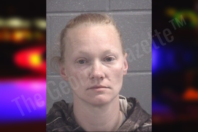 Samantha Jolly — Spalding County Jail Bookings Samantha Jolly — Spalding County Jail Bookings