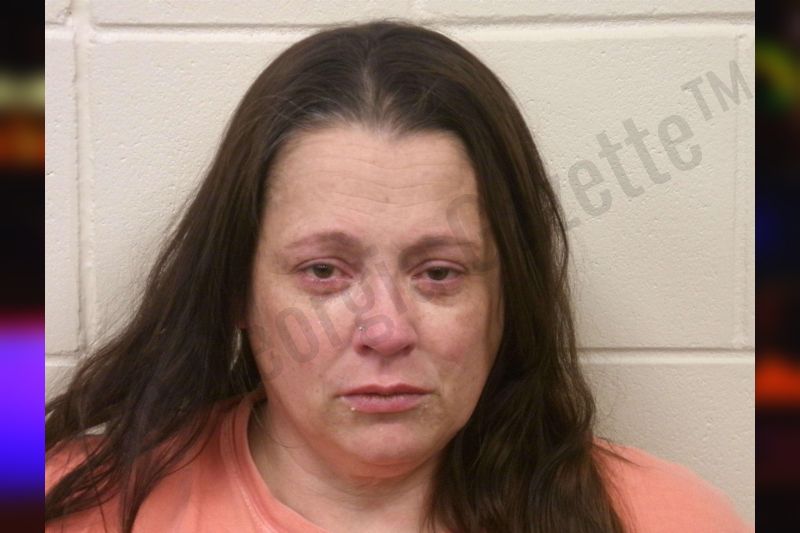 Amy Kish — Bulloch County Jail Bookings