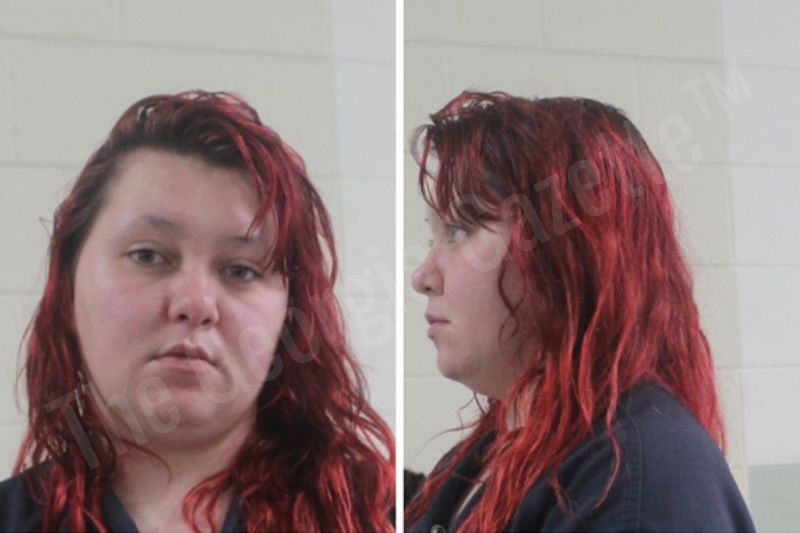 Arianna Kissling — Houston County Jail Bookings