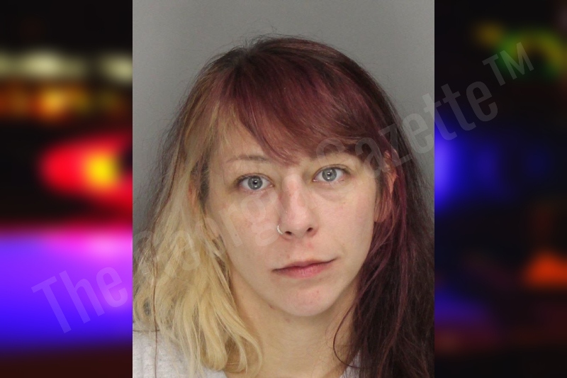 Andrea Layman — Cobb County Jail Bookings