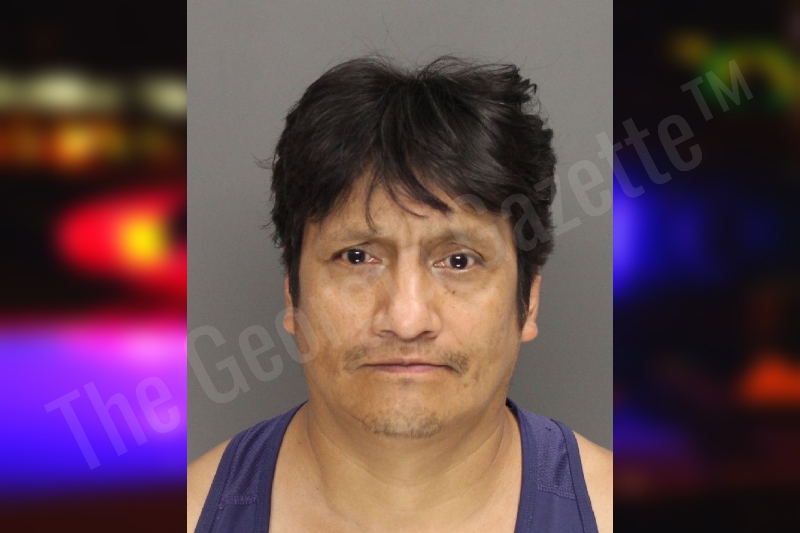 Angel Luna — Cobb County Jail Bookings