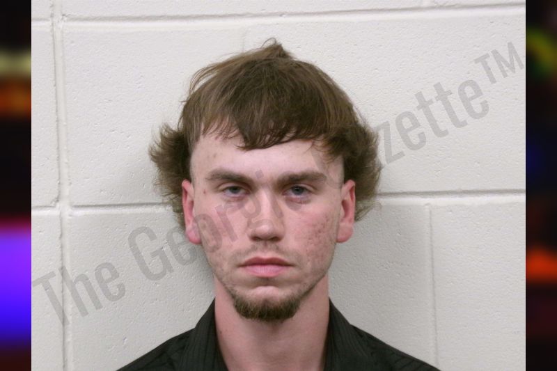 David Lieber — Bulloch County Jail Bookings