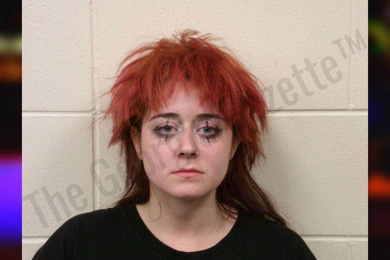 Stephanie Lowery — Bulloch County Jail Bookings