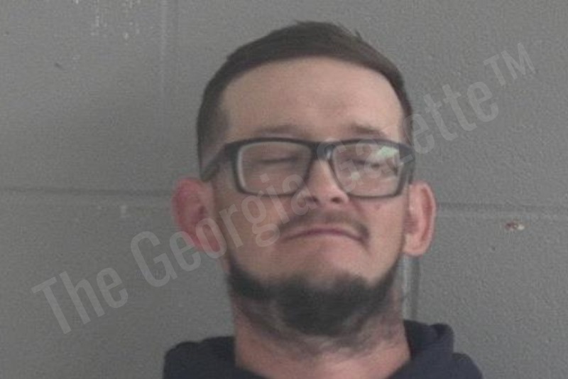 Joel Mathis — Brantley County Jail Bookings