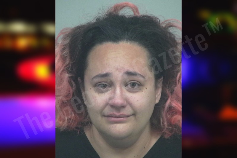 Amanda Mears — Gwinnett County Jail Bookings