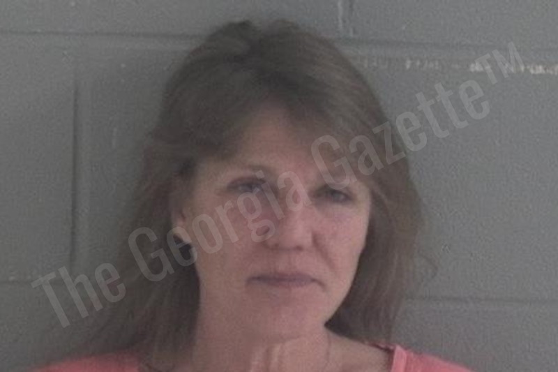 Courtney Meeks — Brantley County Jail Bookings