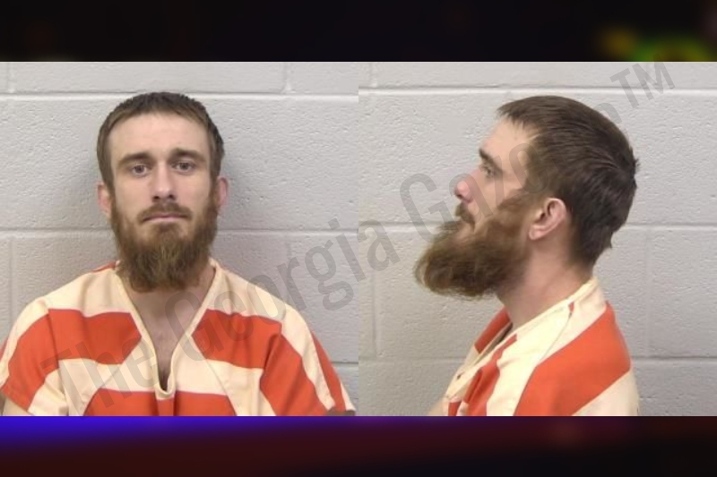 Derek McNeil — Paulding County Jail Bookings