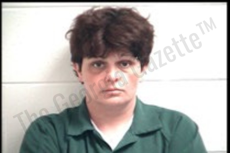 Heather Navarro — Henry County Jail Bookings