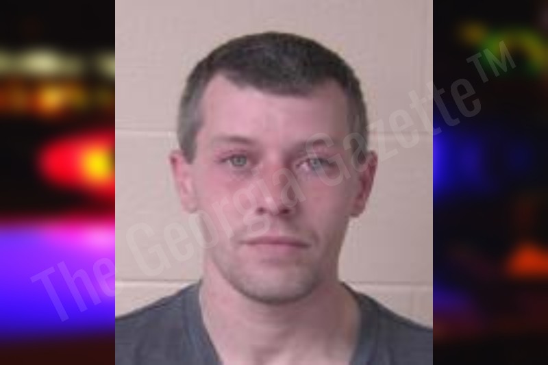 Matthew Newby — Walker County Jail Bookings