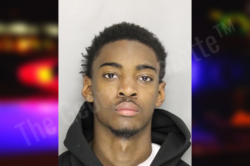 Ryheim Peace — Cobb County Jail Bookings