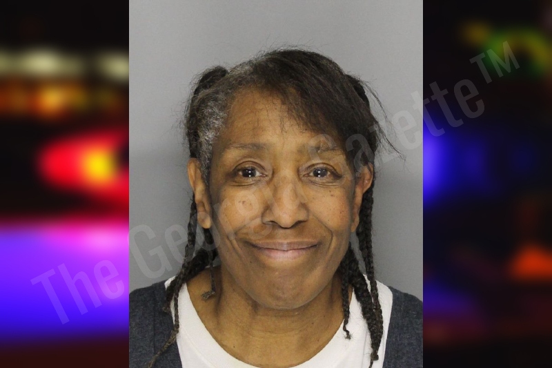 Crystal Perkins — Cobb County Jail Bookings