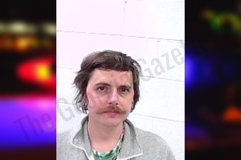 Dominic Perronie — Fulton County Jail Bookings