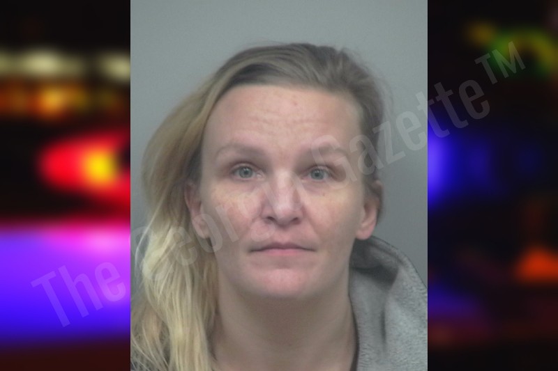 Brittany Puckett — Gwinnett County Jail Bookings