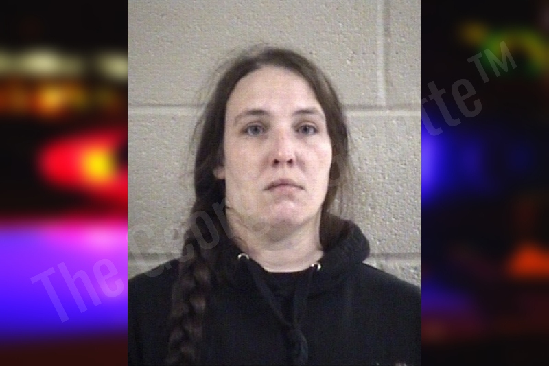 Cheyenne Peoples — Whitfield County Jail Bookings