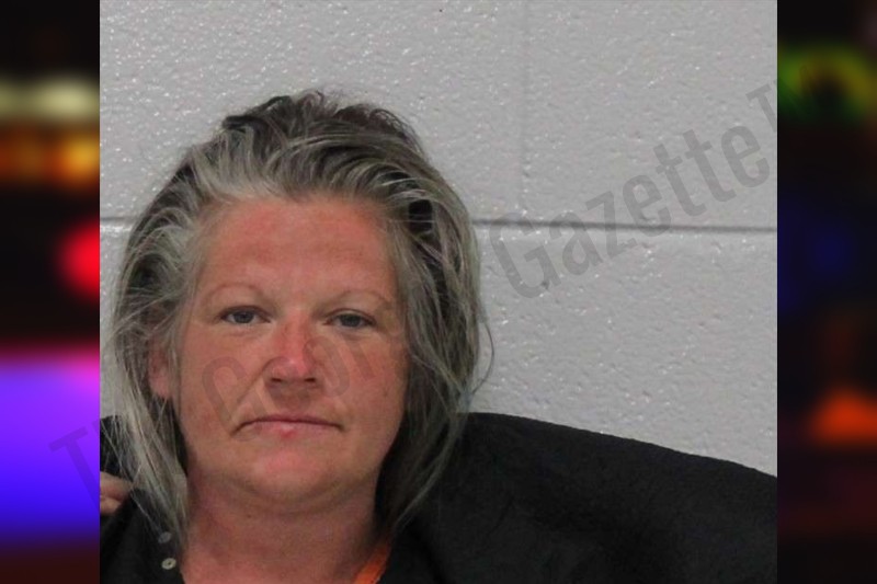 Brandy Roberson — Carroll County Jail Bookings