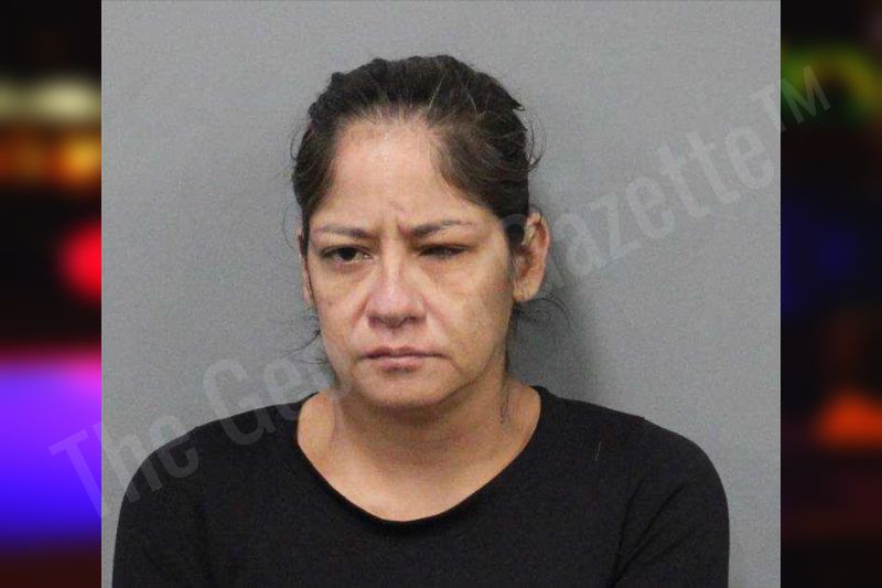 Anna Ramirez — White County Jail Bookings