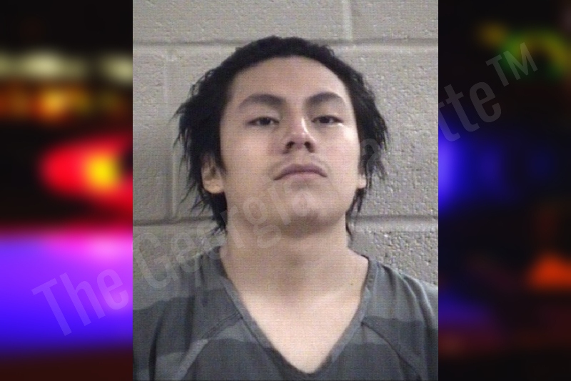 Edwin Ramirez — Whitfield County Jail Bookings