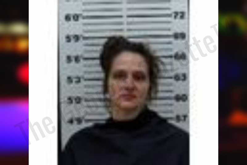 Danielle Ray — Hart County Jail Bookings