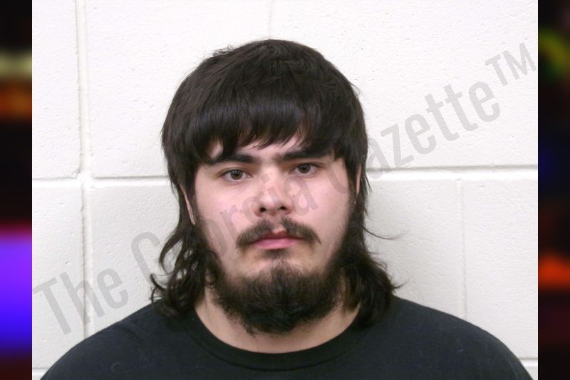 Nicholas Ray — Bulloch County Jail Bookings