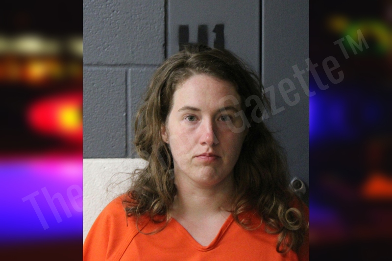 Madison Rice — Lumpkin County Jail Bookings