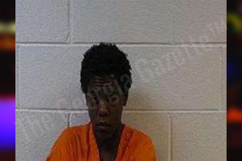 Alisha Rodriguez — Polk County Jail Bookings