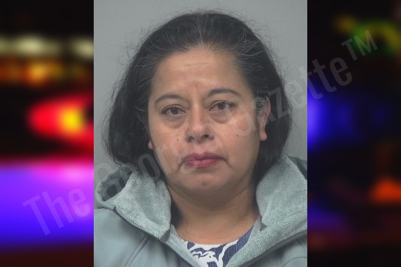 Irma Sanchez Reyes — Gwinnett County Jail Bookings