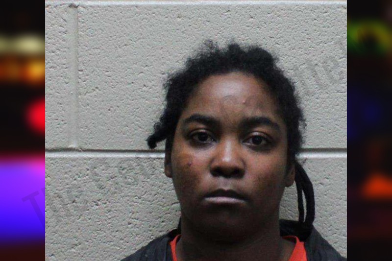 Danielle Sanders — Haralson County Jail Bookings