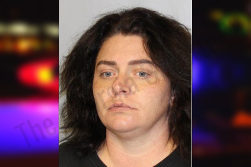 Megan Seabolt — Hall County Jail Bookings