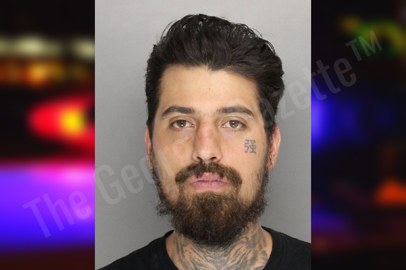 Joseph Seitz — Cobb County Jail Bookings