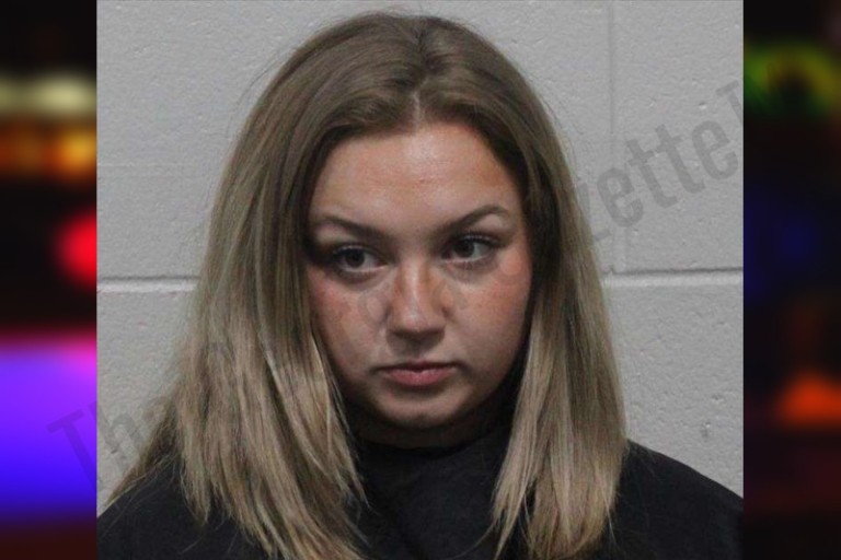Ansley Smith — Habersham County Jail Bookings