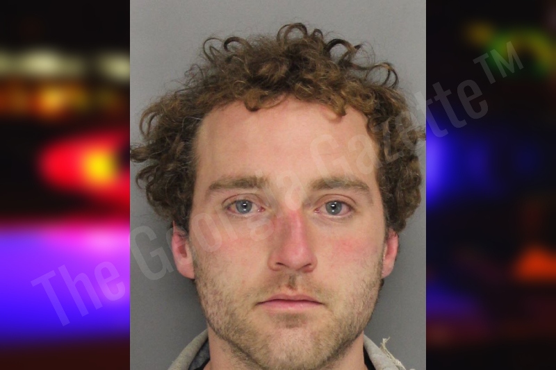 Brandon Sosebee — Cobb County Jail Bookings