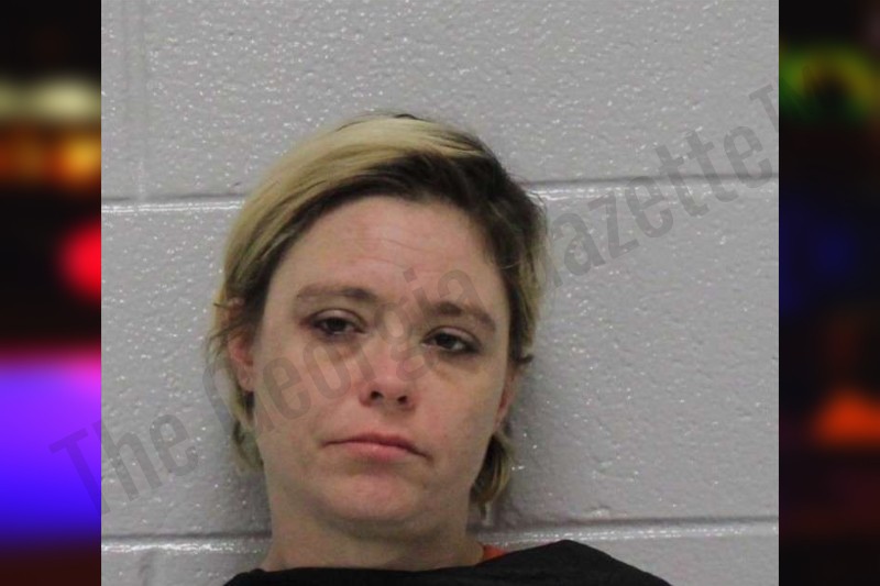 Shanna Spicer — Carroll County Jail Bookings